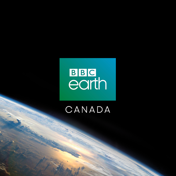 Homepage - Blue Ant Media