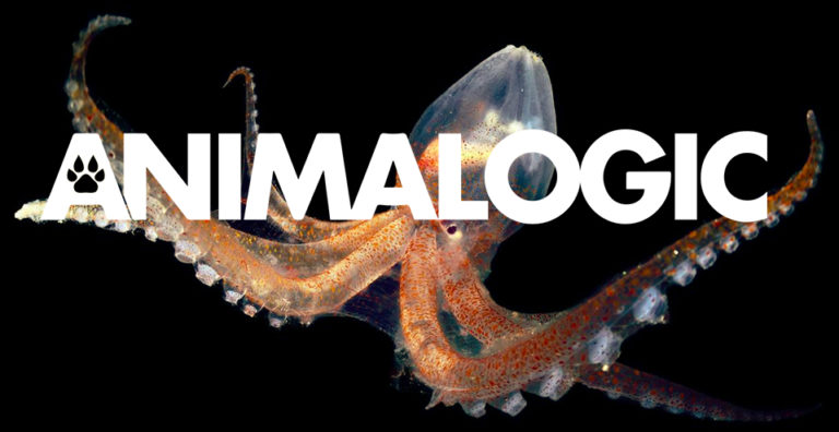 Animalogic - Blue Ant Media