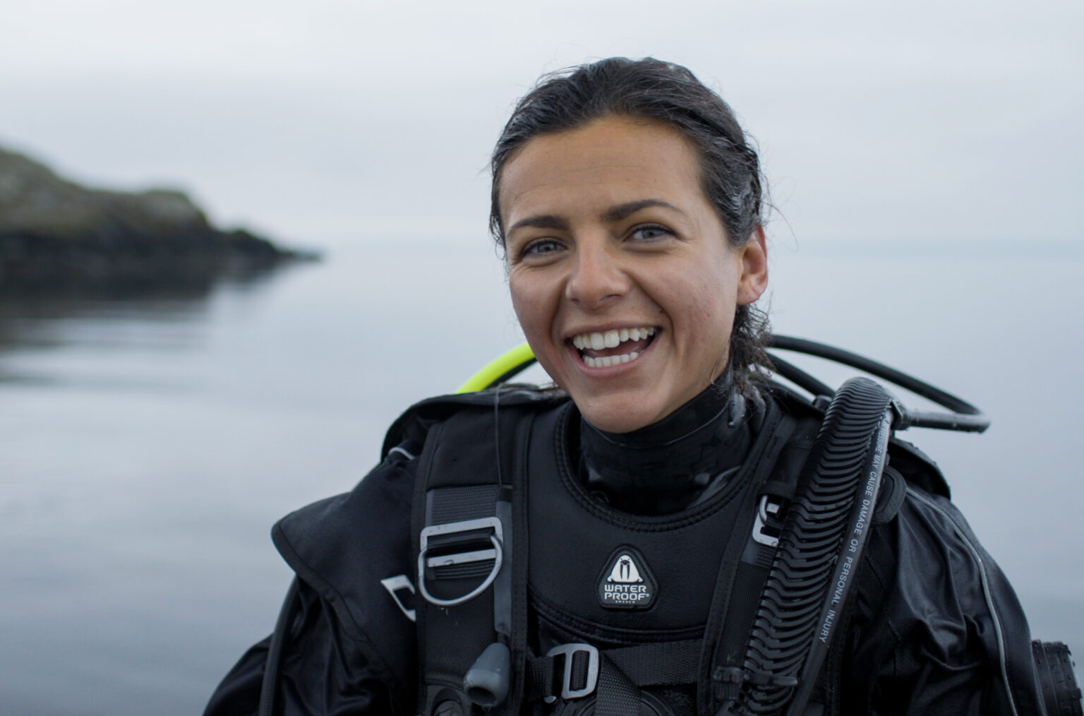 Homepage - Blue Ant Media